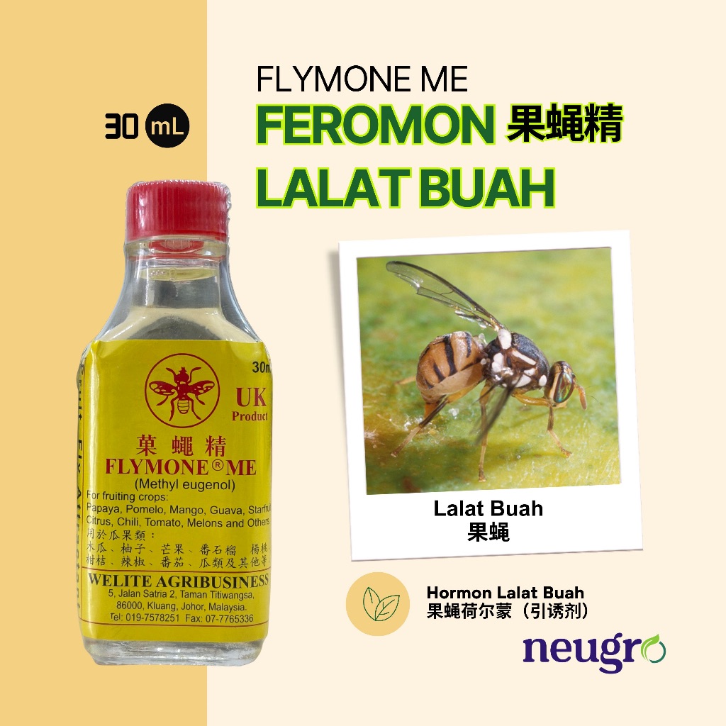Flymone Me (30ml) Feromone Lalat Buah Methyl Eugenol Fruit Fly ...
