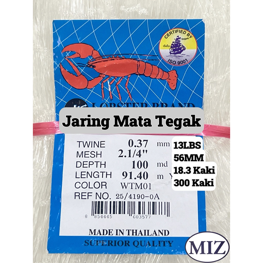 037 x 2 1/4" ( 56MM ) x 100MD ( 18.3 Kaki ) x 91.4MTR Mata Tagak ...