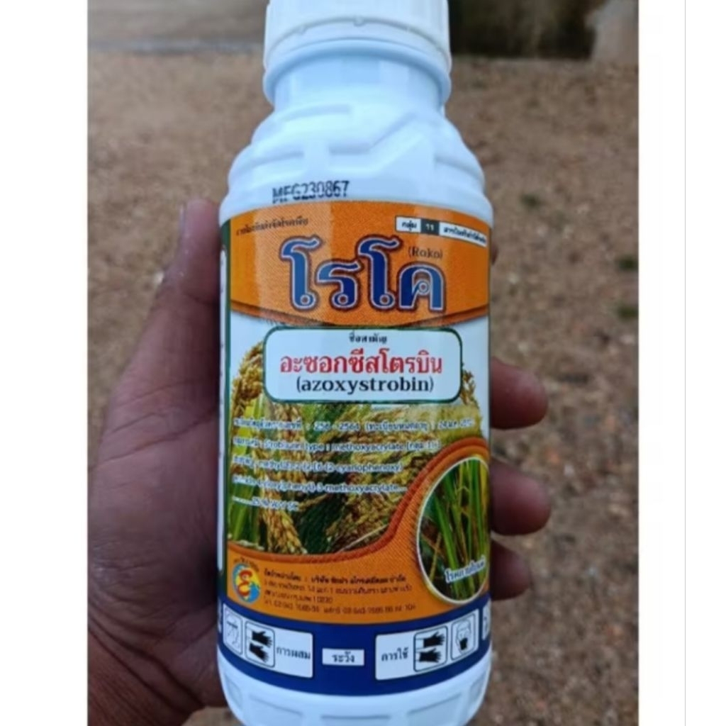 Roko Azoxystrobin 25% Racun Kulat untuk Pokok Durian & Tanaman Lain ...