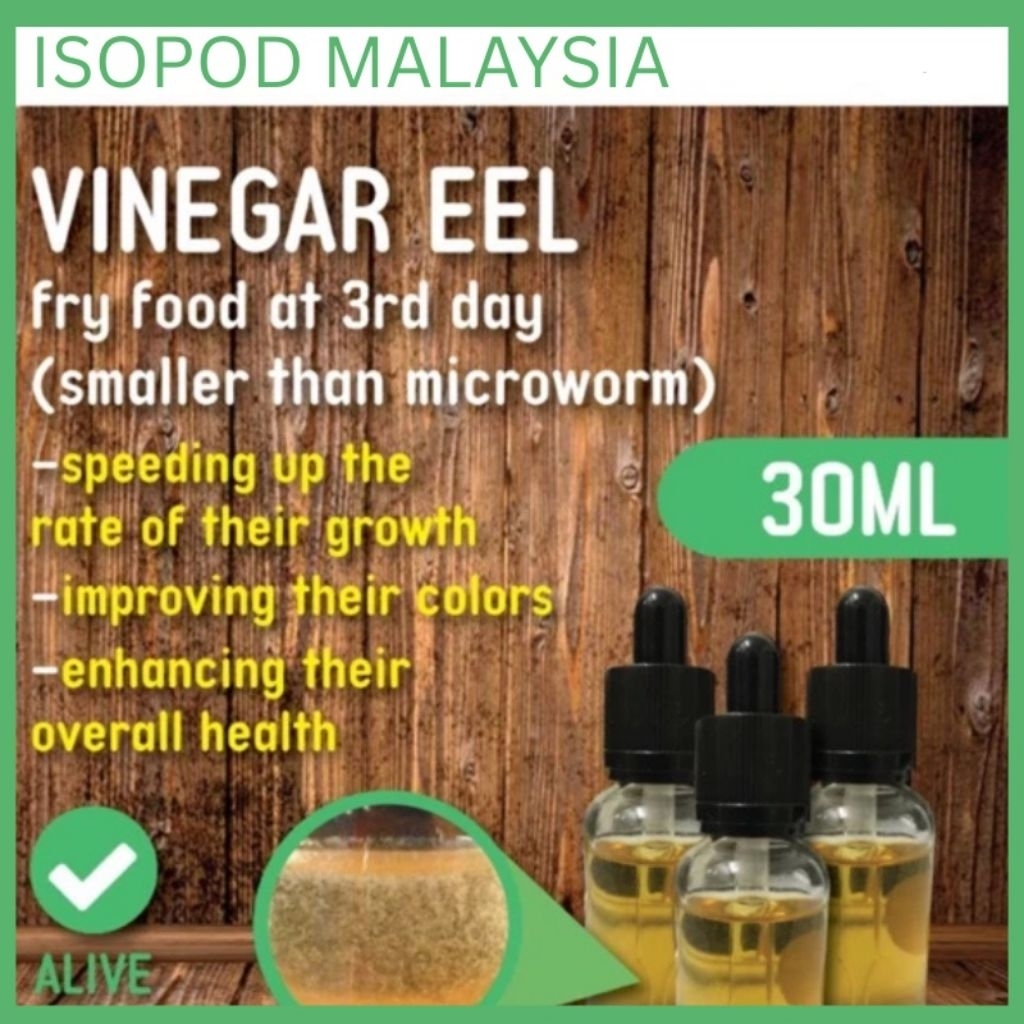 Vinegar Eels(Turbatrix aceti) Instant Starter Culture 30ML( Micro Worms ...