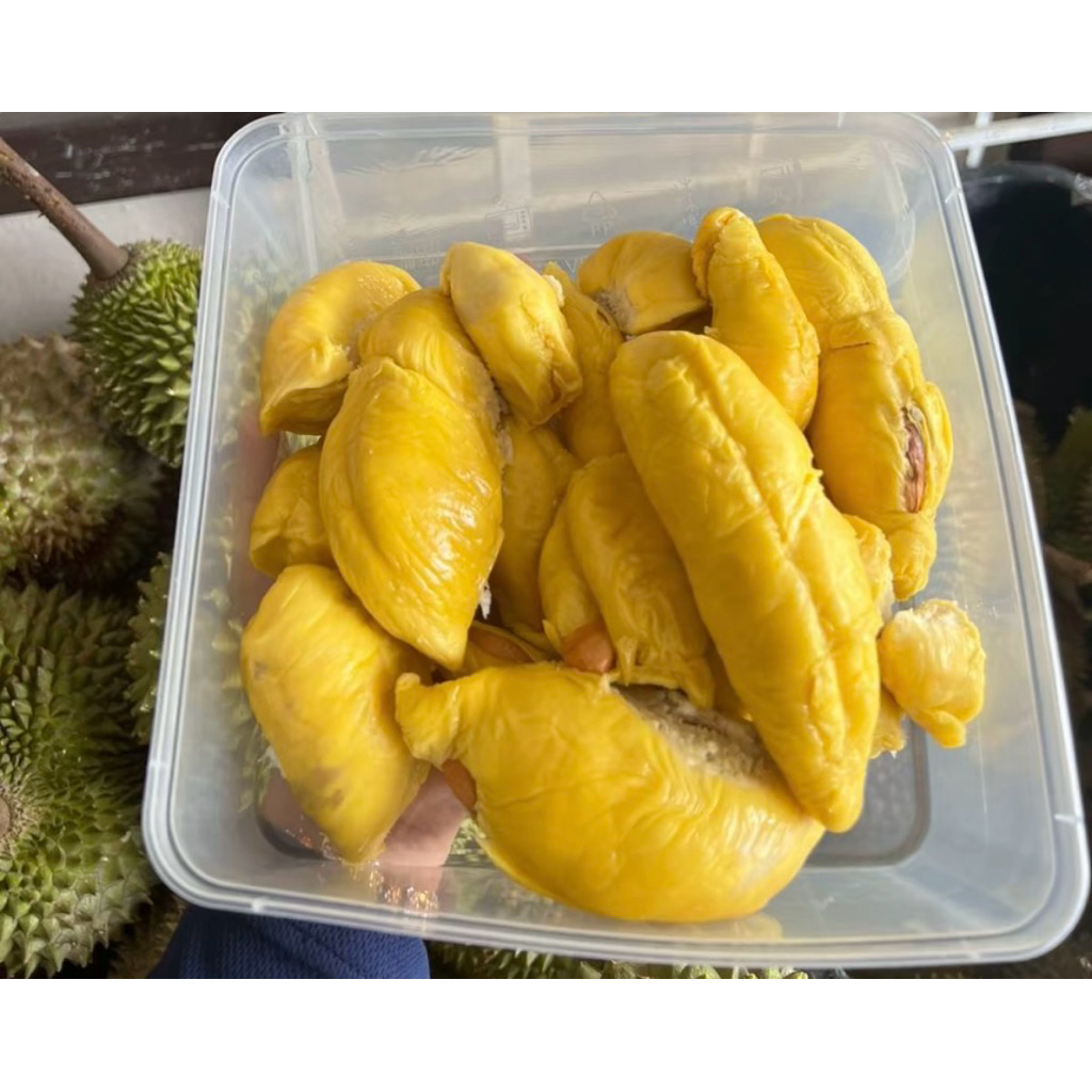 Durian Musang King dan Blackthorn Raub Pahang Raja Durian Malaysia ...