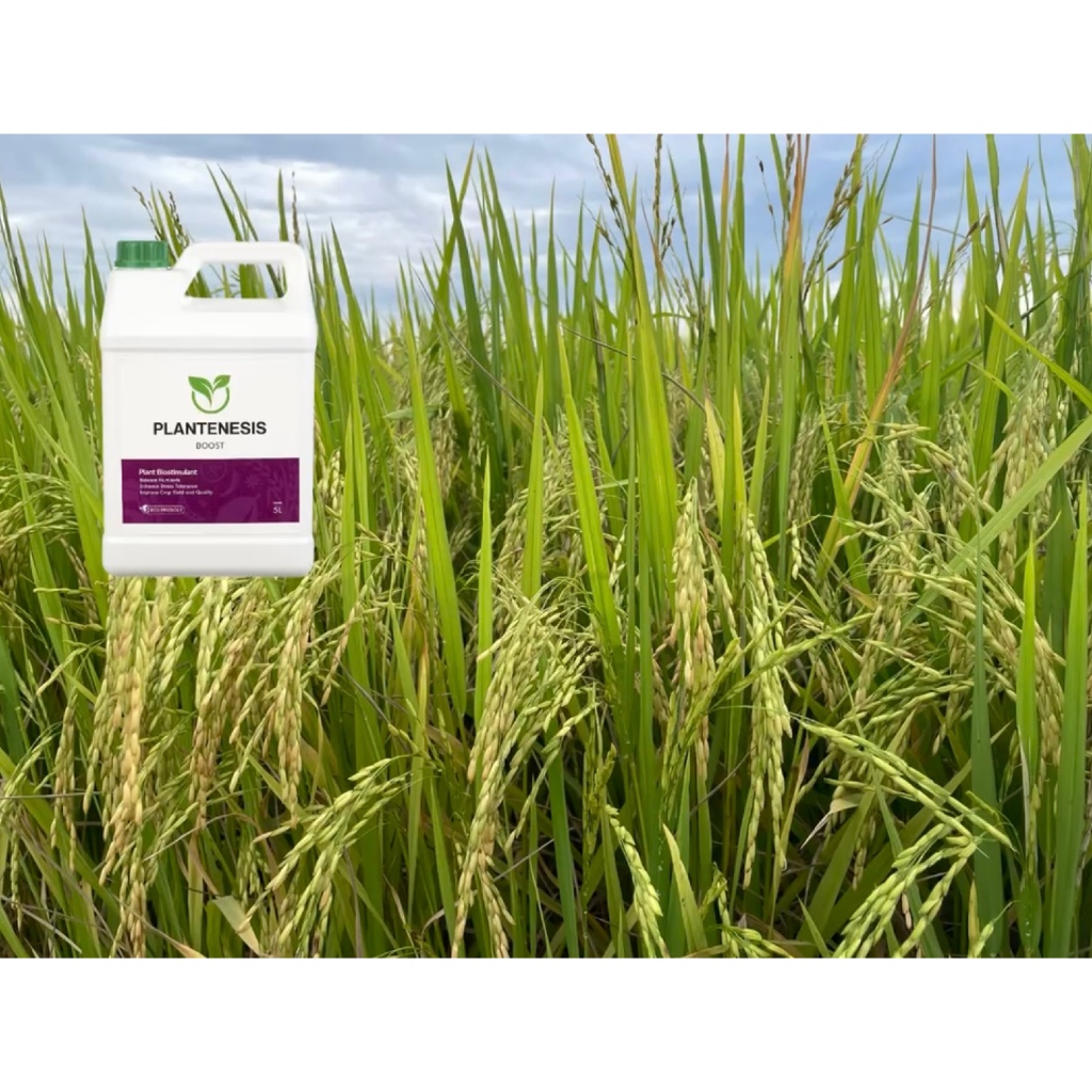 Plantenesis - Boost Plant Biostimulant | Shopee Malaysia