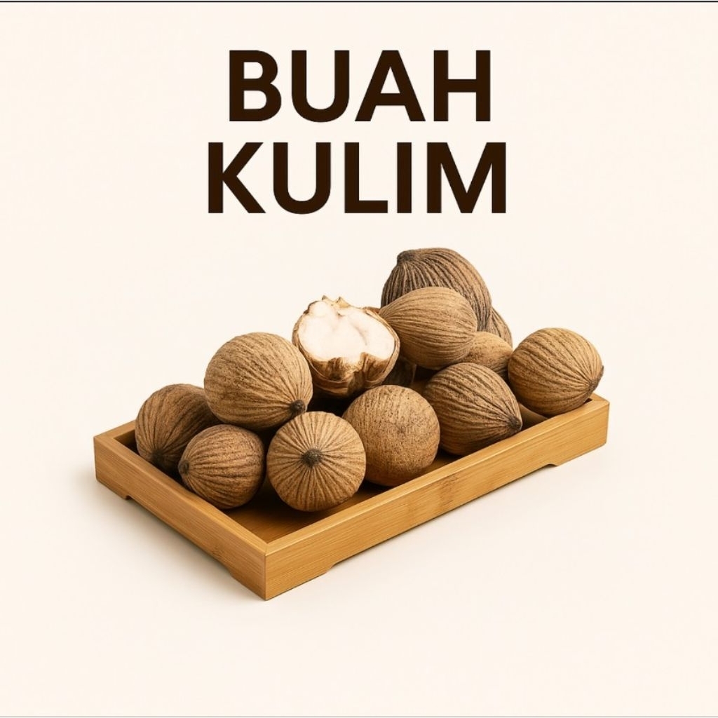Buah Kulim Asli / Scorodocarpus borneensis / Wild Garlic Fruit | Shopee ...