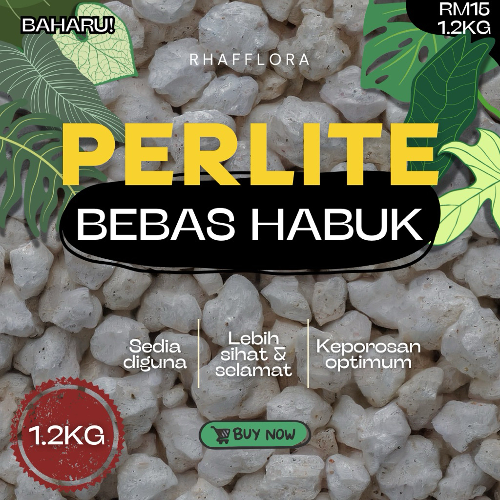 RHAFflora | 1.2KG Perlite Bebas Habuk (3-6mm) | Aroid Mix Tanah Pokok ...
