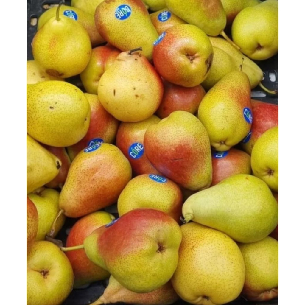 1kg US Red Anjou Pear Segar | Shopee Malaysia