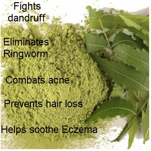 Pure Neem Leaf Powder (Veppilai) 50 g / Serbuk Daun Semambu | Shopee ...