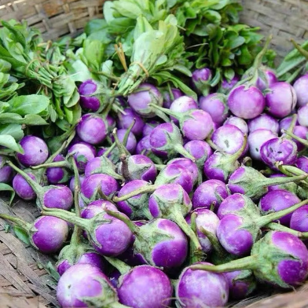 500G TERUNG BABY PURPLE | TERUNG SEGAR DAN RANGGUP | TERUNG ULAM | BUAH ...