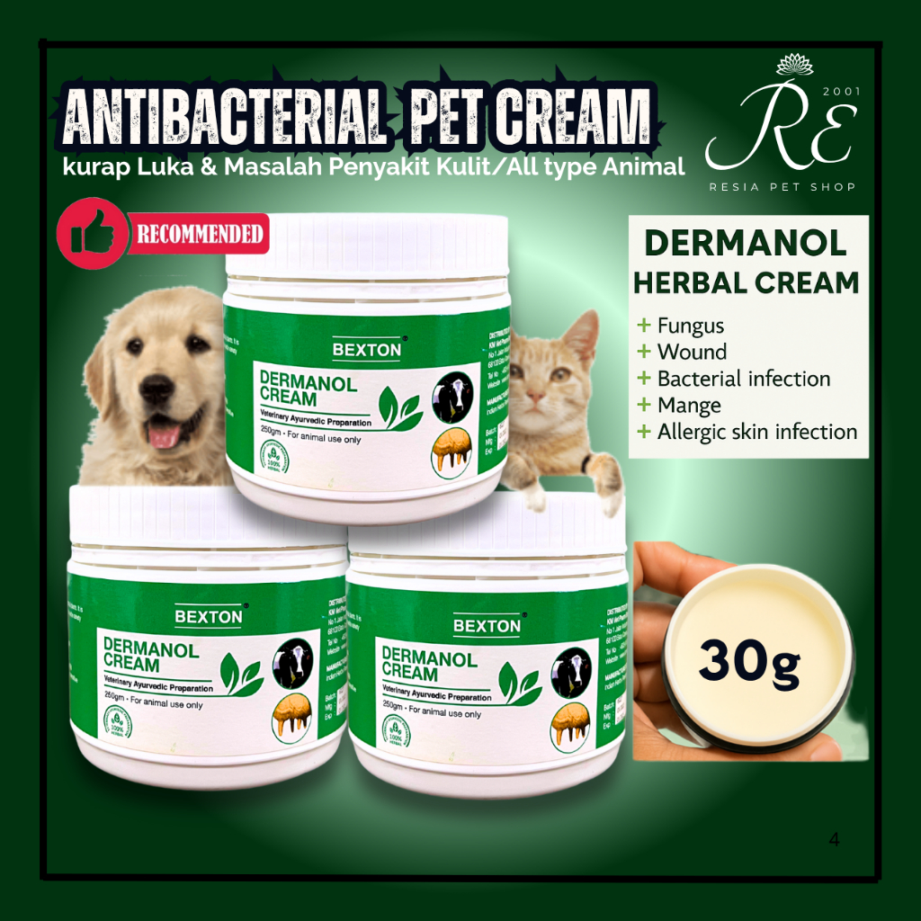 Ubat Kurap Kucing Krim Kurap Kucing Ringworm Cream Kurap Kucing Gatal ...