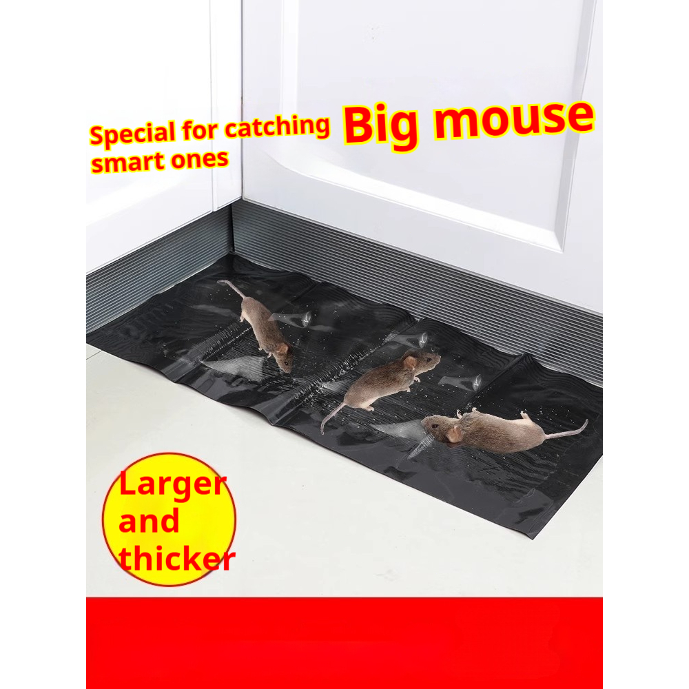 Mouse trap super glue for big mice; a powerful device to stick a super ...