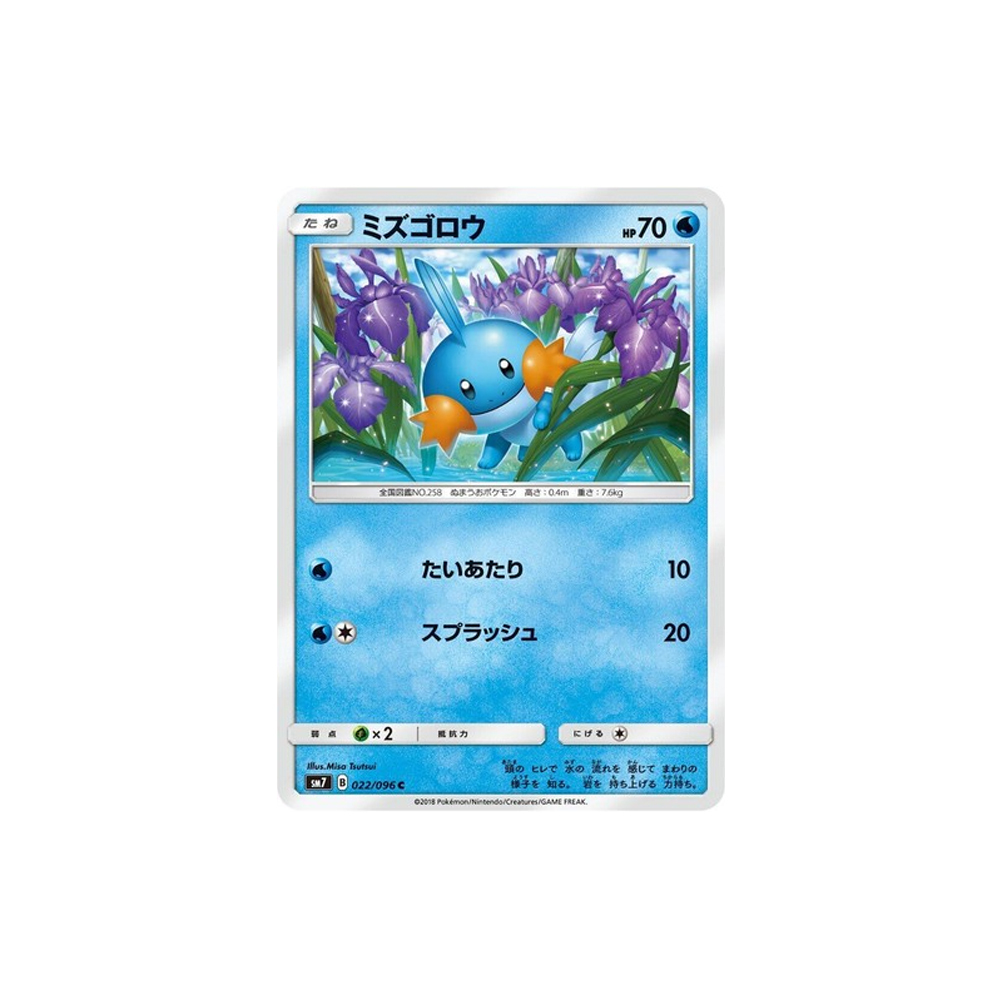 Pokemon Trading Card Game TCG: Mudkip 022/096 - Common/Non-Holo [SM7 ...
