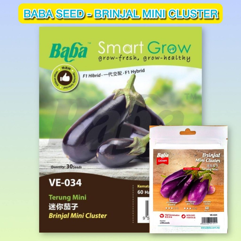Baba VE-034 Mini Cluster Brinjal Seed — Benih Terung Mini — 迷你茄子 蔬菜种子 ...