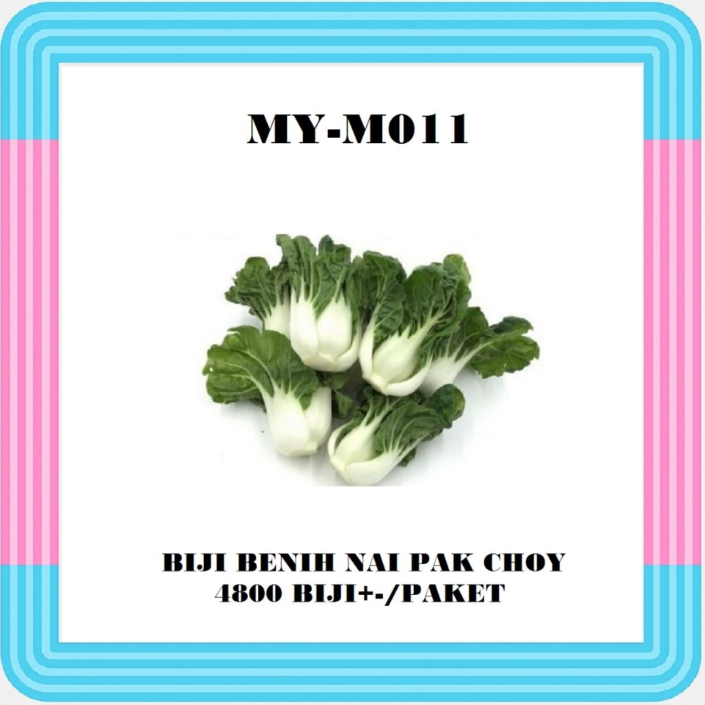 Biji Benih Nai Pak Choy (Paket Besar) / Milky White Vegetable Seeds ...