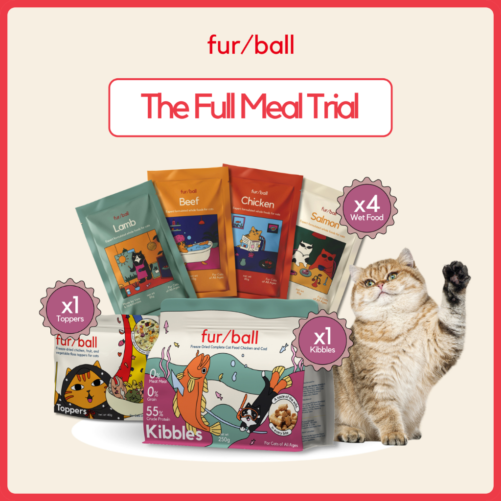 fur/ball The Full Meal Trial B – 1 Freeze-Dried Cod Fish Kibbles + 4 ...