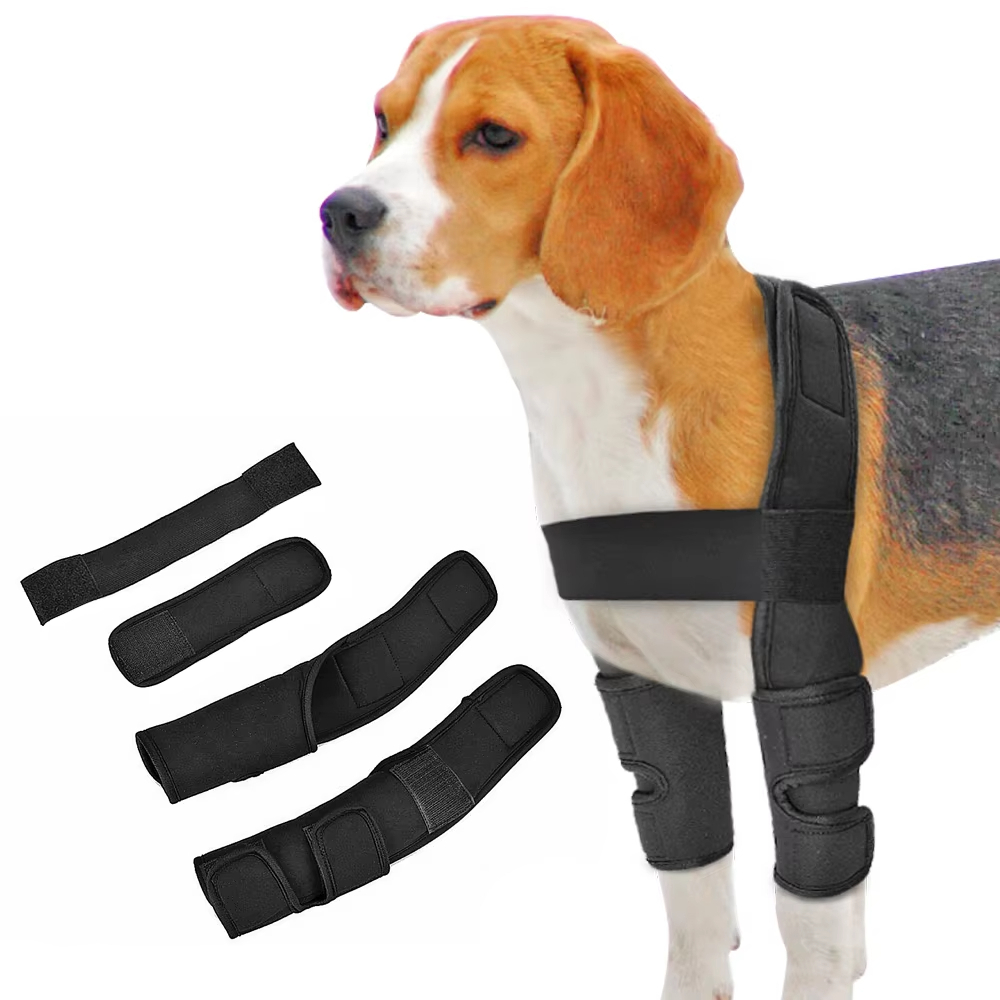 Dog Knee Leg Brace | Canine Front Leg Joint Support for Arthritis ...