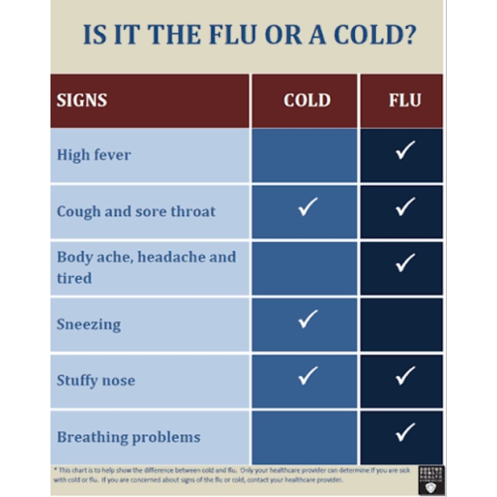 Flu Chart / Selsema Carta | Shopee Malaysia