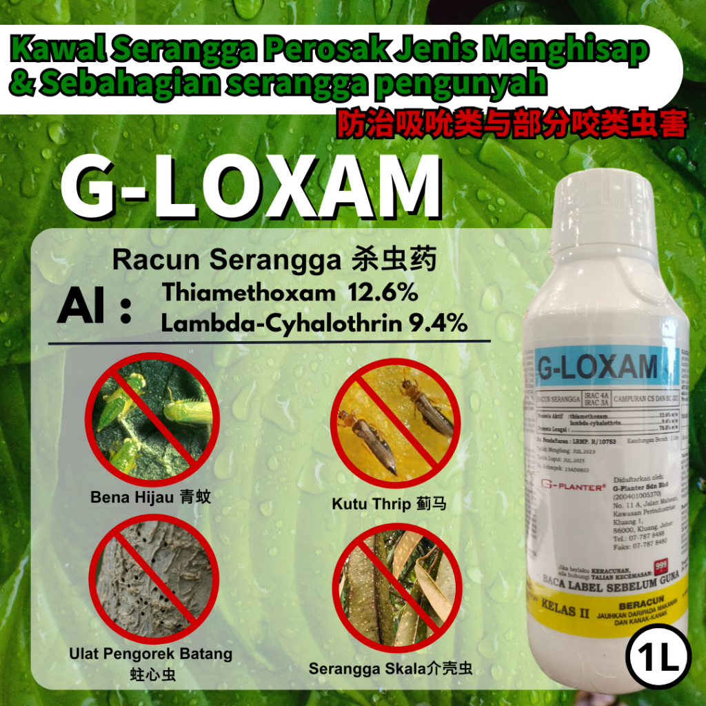 【Bena Hijau青蚊/Serangga Skala蚧壳虫】G-Loxam 1L (SAME AI Alika / Colam ...