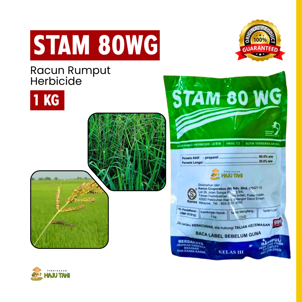 Racun Rumput Stam 80WG Racun Butir Padi Burung Racun Rumpai Padi Racun ...