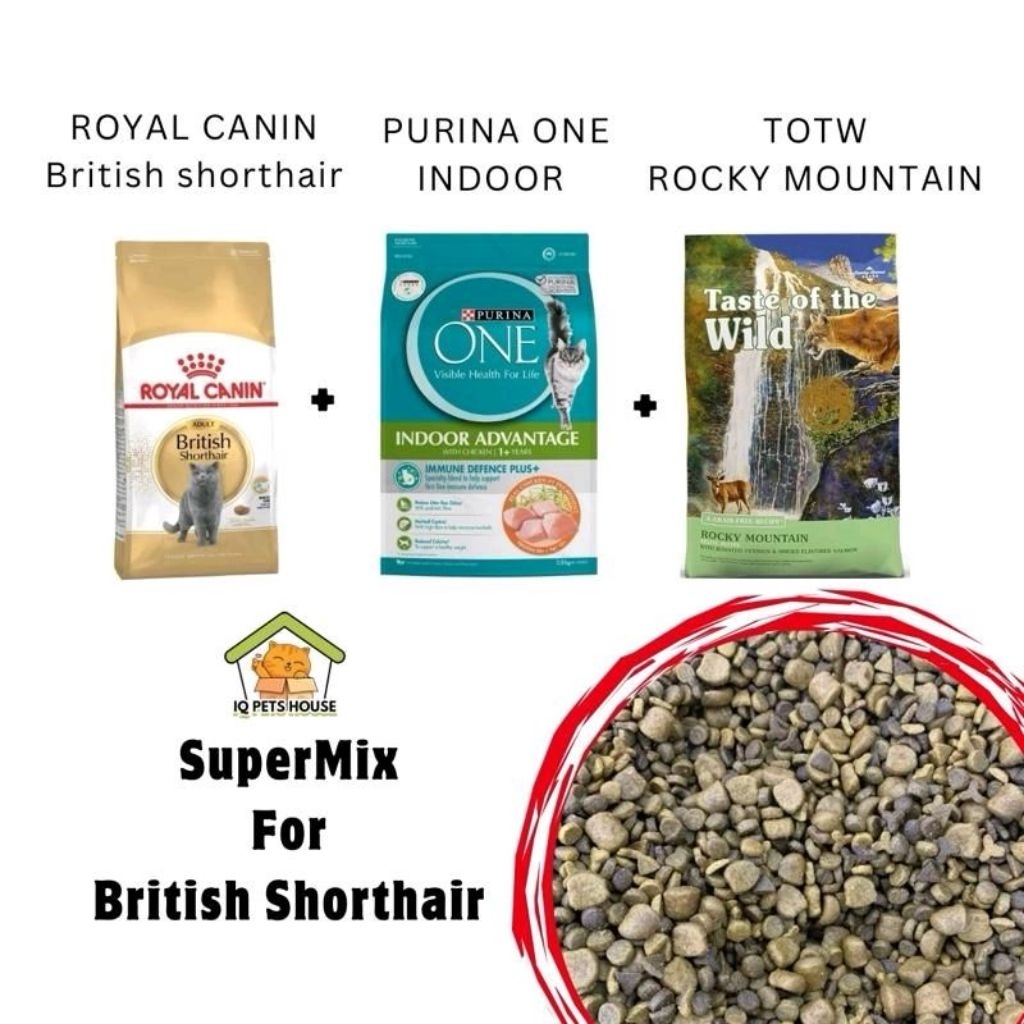 SuperMix Kibble British shorthair / BSH Adult / Royal Canin BSH ...