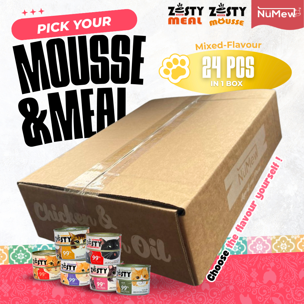 Numew Zesty Meal & Mousse 100g -1 carton (24pcs ) | Shopee Malaysia