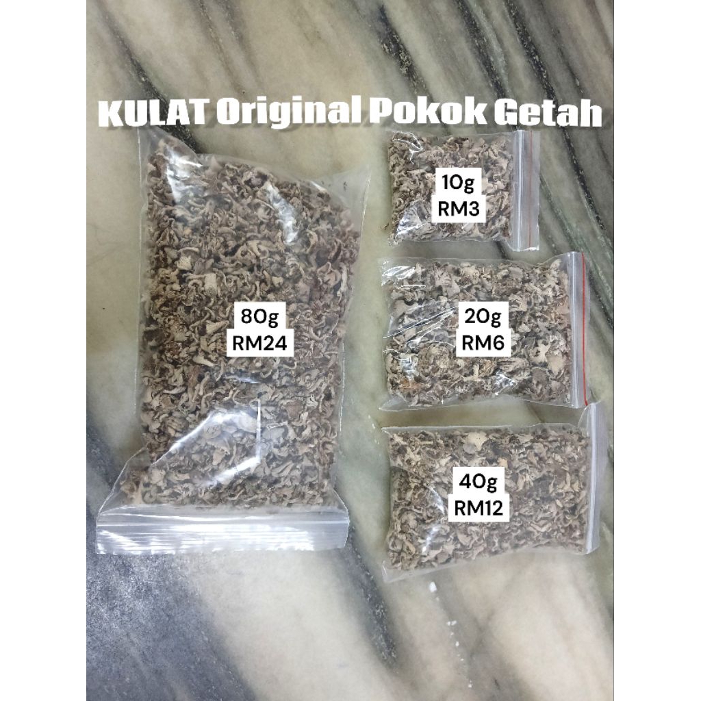 Kulat Sisir Original Pokok Getah / Cendawan Kukur Original Pokok Getah ...