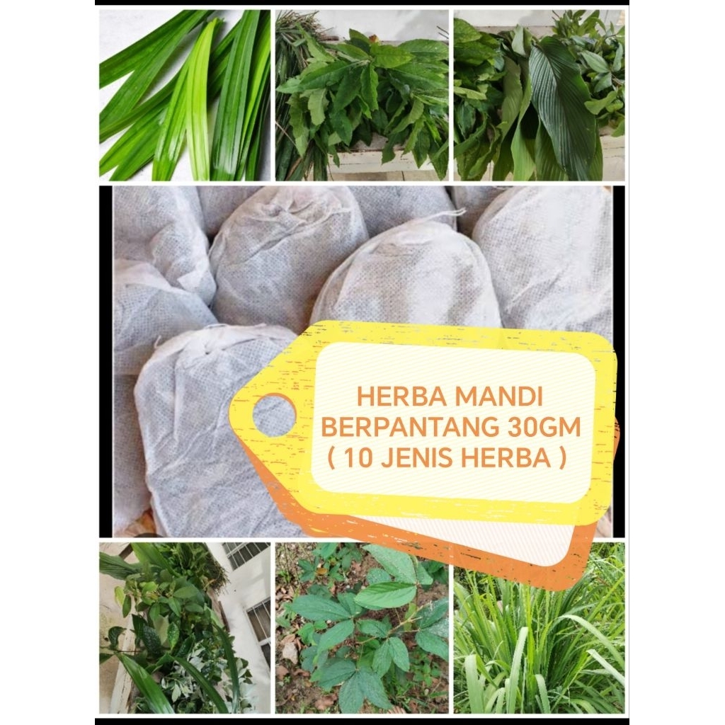 Mandian Daun Serom 30gram |Mandian Herba Pantang|Mandian Herba|Mandian ...