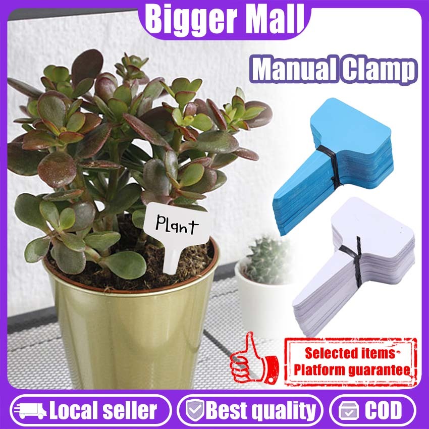 100Pcs Plastic Plant Labels/T-Type Orchid and Succulent Markers ...