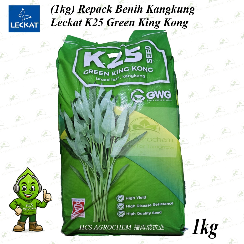 (500g/1kg) REPACK Benih Kangkung K25 Leckat Green kin Kong Daun lebar ...