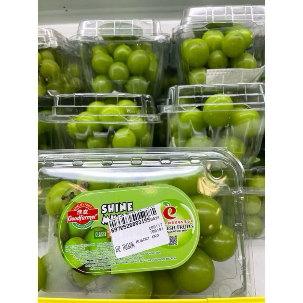 Shine Muscat Grape (500g/Pack) | Anggur Hijau Shine Muscat Segar Manis ...