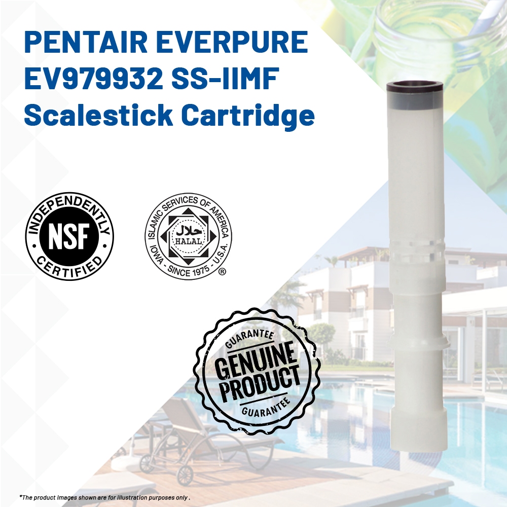 PENTAIR EVERPURE EV979932 SS-IMF Scalestick Water Filter Replacement ...