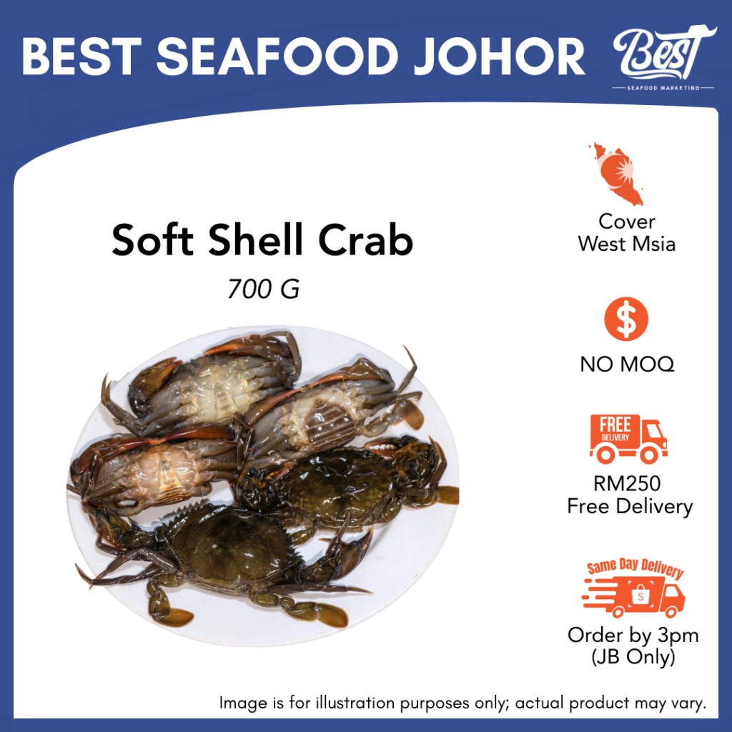 [WHOLESALE] Soft Shell Crab 700g (10pcs±) 软壳蟹 | Ketam Lembut | Best ...