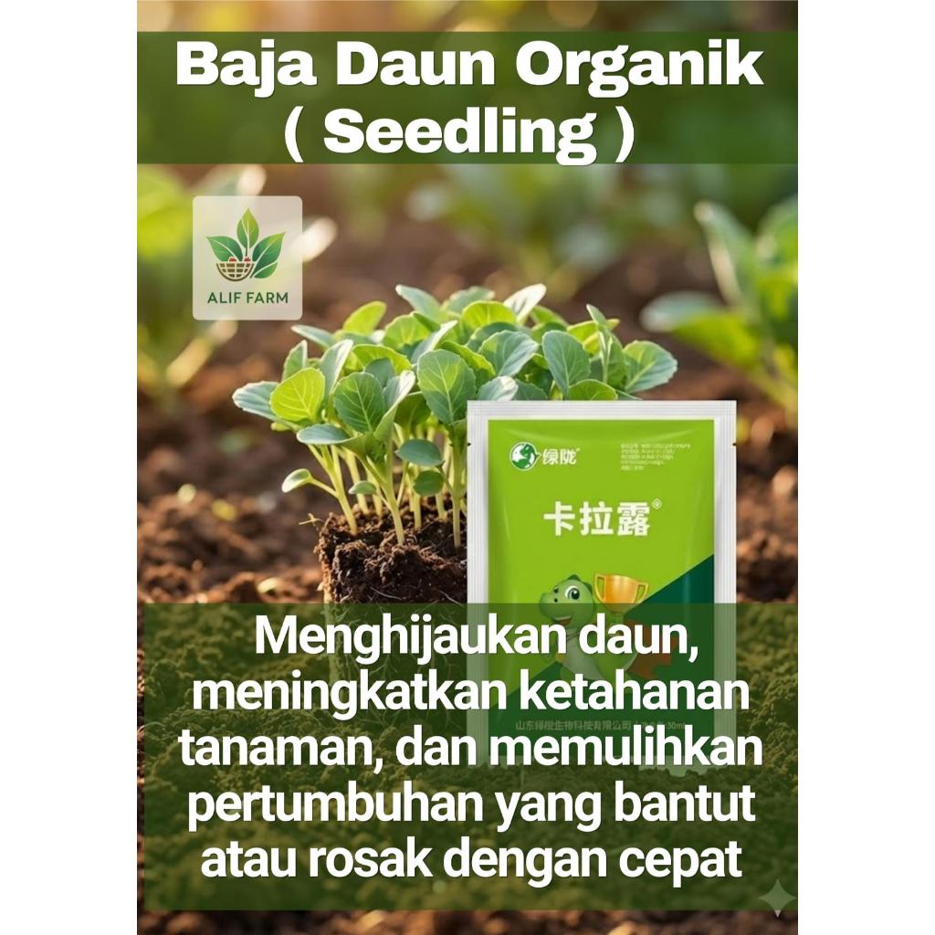 Baja Cecair Pulihkan Tumbuhan I 30ml I Khas untuk Segarkan balik Daun ...