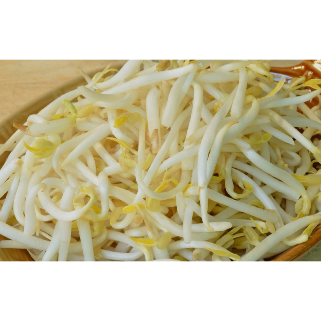 Premium Fresh Mountain Spring Bean Sprouts 山水芽菜 （Home wash / 自家清洗 ...