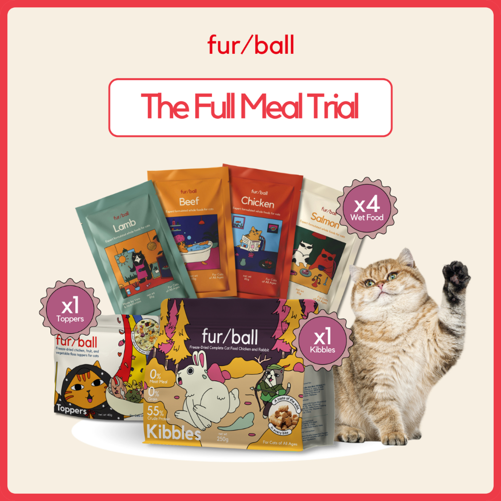 fur/ball The Full Meal Trial C – 1 Freeze-Dried Rabbit Kibbles + 4 Wet ...