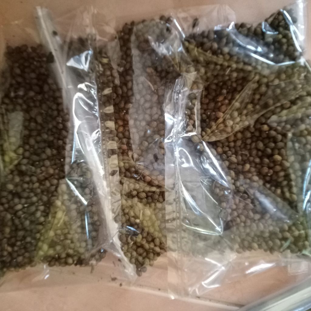 MELADA /LADA PAHIT KERING SIAP PACKING | Shopee Malaysia