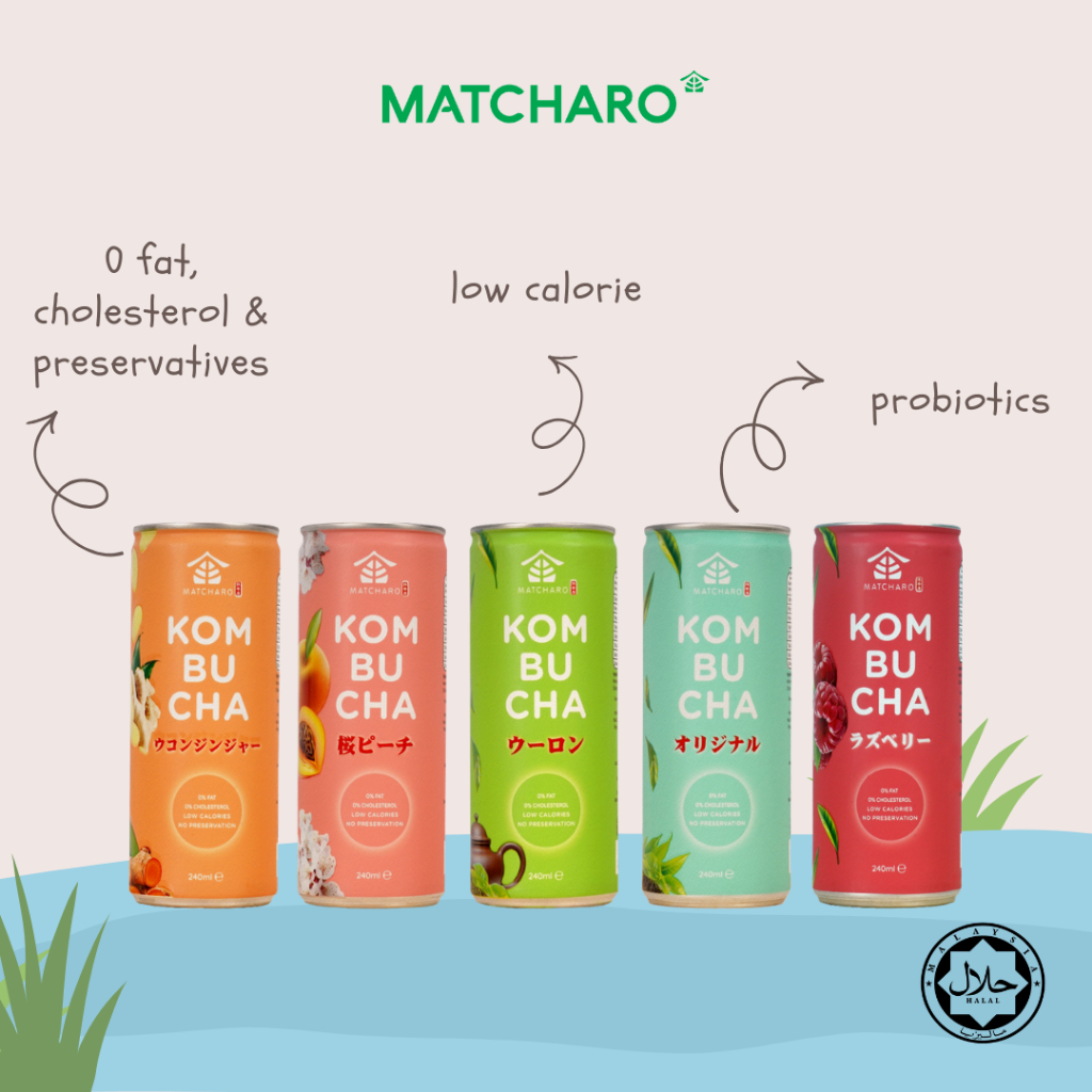 MATCHARO Kombucha Drink 240ml, HALAL Certified | Shopee Malaysia