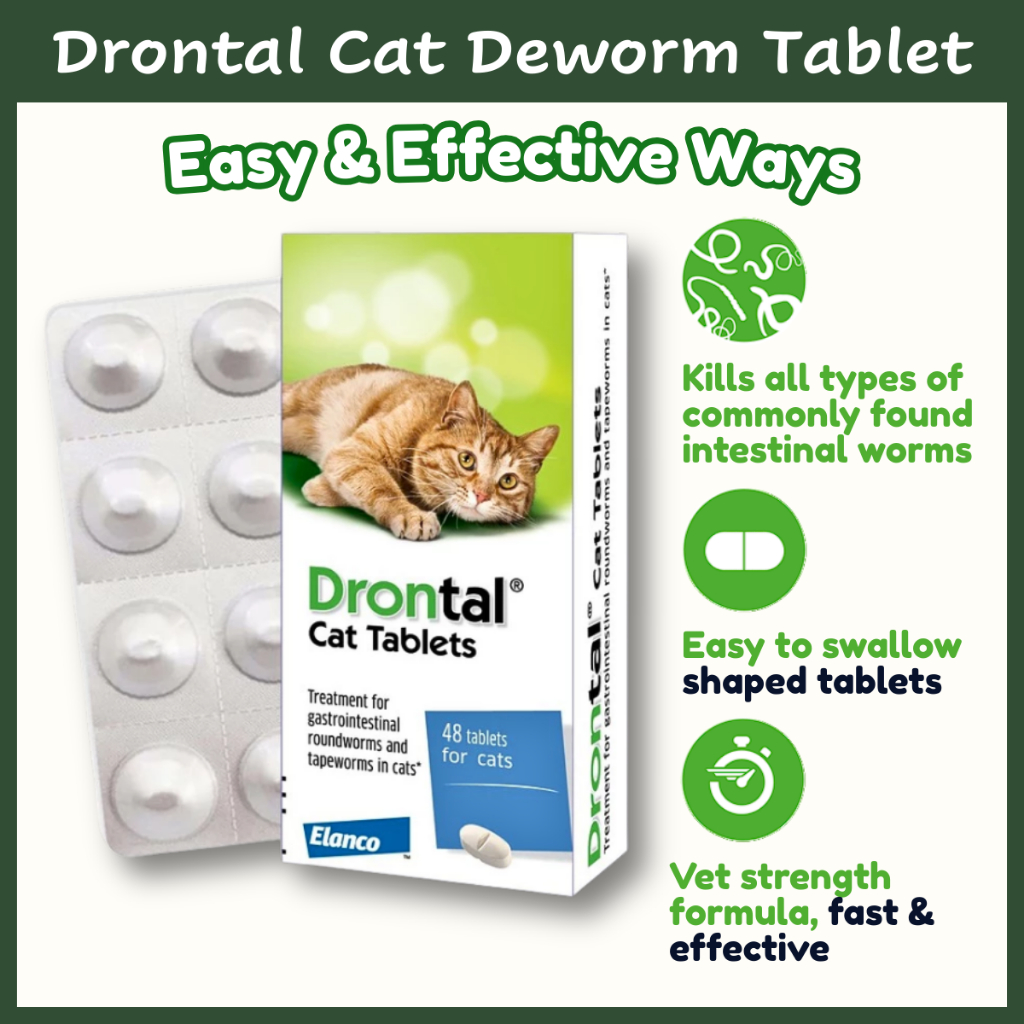 Drontal Cat Tablets Dewormer Treatment and Control of Intestinal Worms ...
