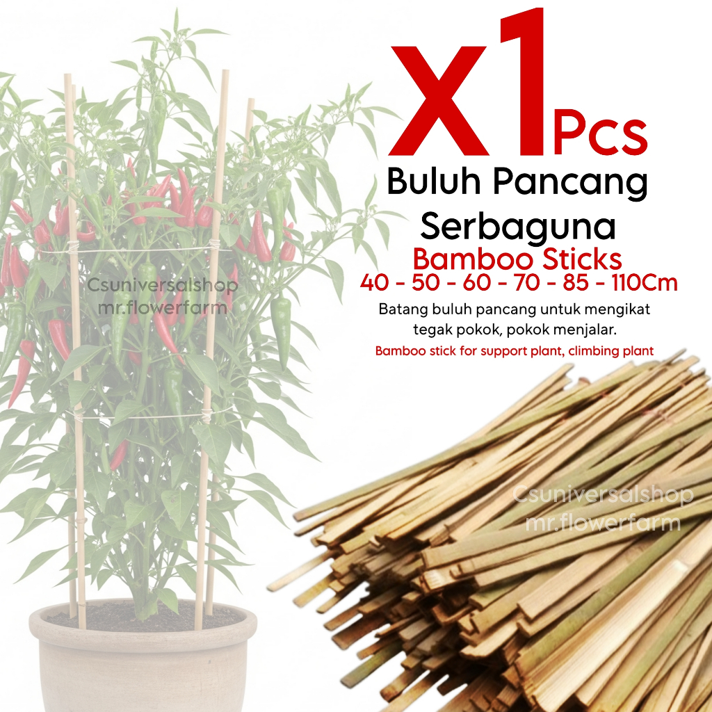 Buluh pancang X1 Pcs 70 -110 cm Bamboo Stick Stacking plants 竹子 ...