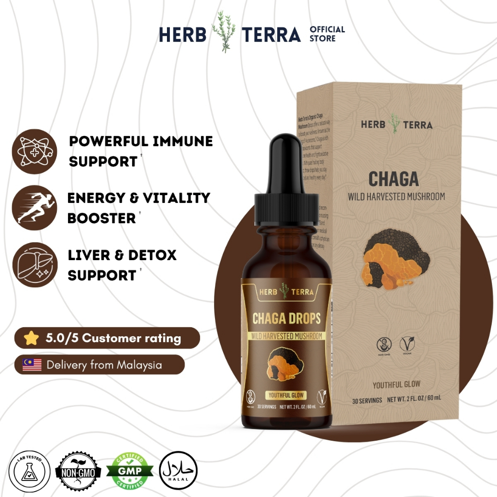 Herb Terra Chaga Mushroom Drops - Immune Support with Chaga Extract ...
