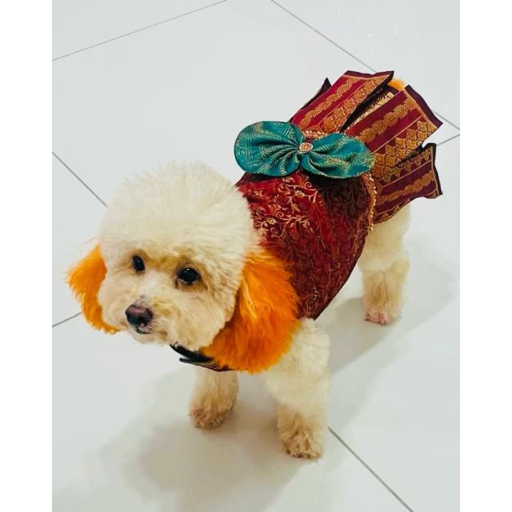Indian Traditional Pets Wear (Dogs/Cats) | Shopee Malaysia