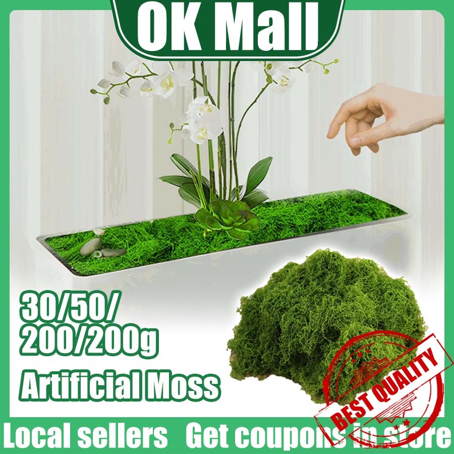 200G Fake Moss DIY/Simulated Moss Rockery Creation/Filament Lawn Green ...