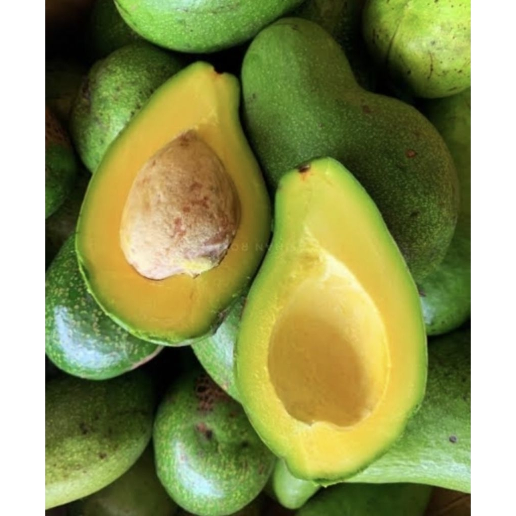 avocado - Prices and Promotions - May 2026 | Shopee Malaysia