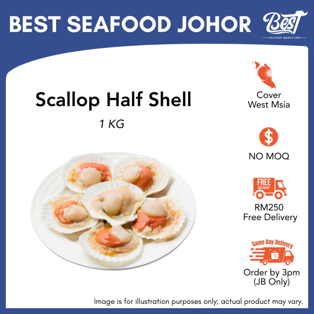 [WHOLESALE] Scallop Half Shell 1kg 半壳扇贝 (Size 8-9cm) | Kerang Separuh ...