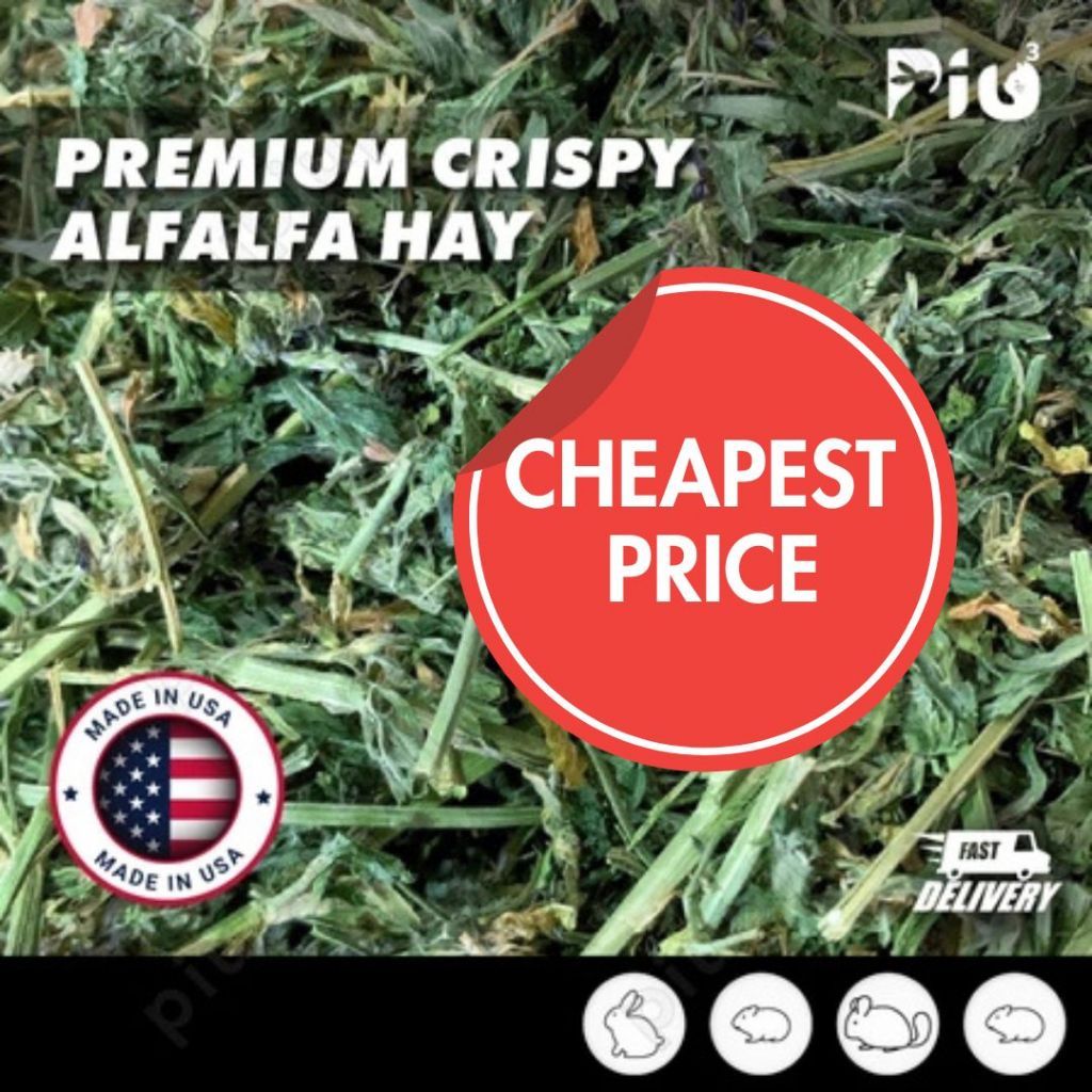 Premium Crispy Alfalfa Hay – Imported Alfalfa for Rabbit, Guinea Pig ...