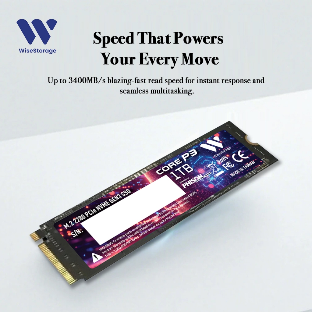 WiseStorage CORE P3 256GB/512GB/1TB M.2 2280 PCIe 3.0 NVMe Gen3 SSD ...