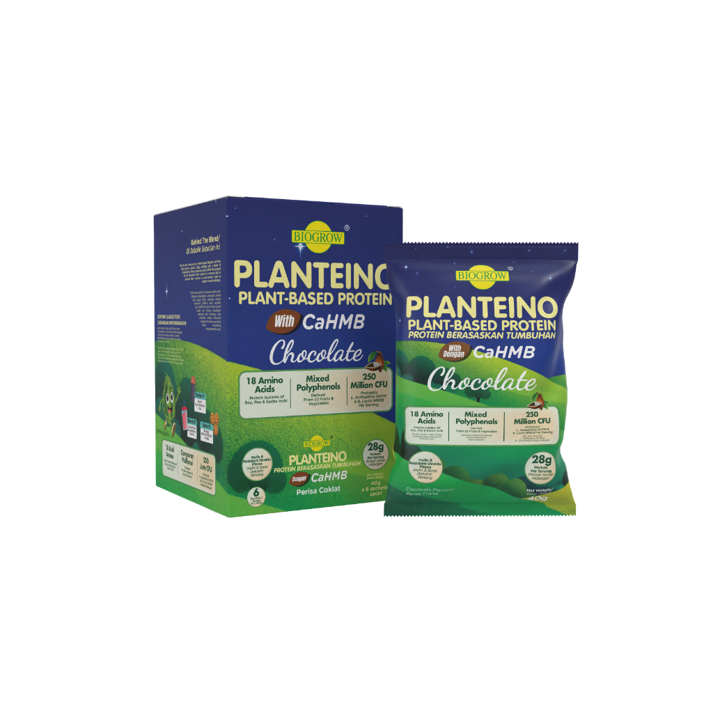 Biogrow Planteino Plant-Based Protein Chocolate (40gx6's) | Shopee Malaysia