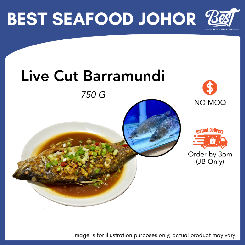 [WHOLESALE] Live Cut Barramundi (Siakap) 750g± 活杀金目鲈 | Best Seafood ...