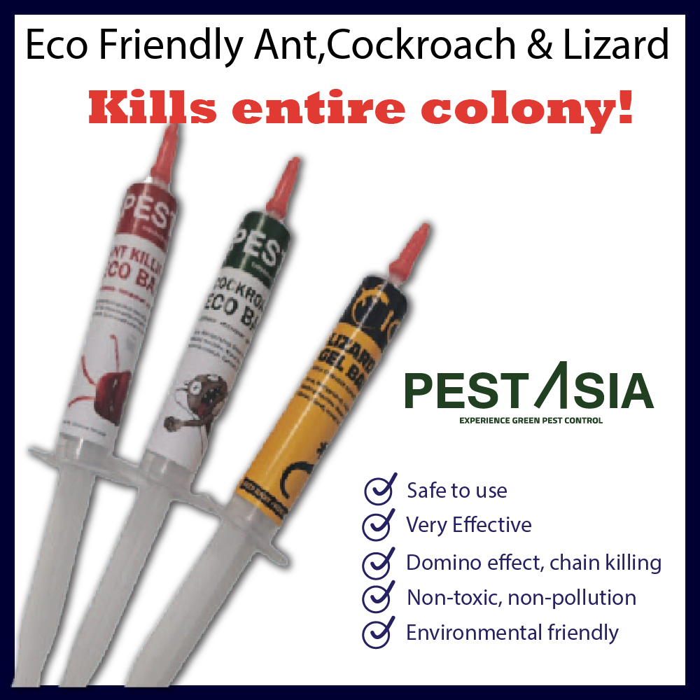 TRUE Eco Friendly Gel Ant Bait. Anti Ant Bait. Insects Wipe Out Gel Eco ...