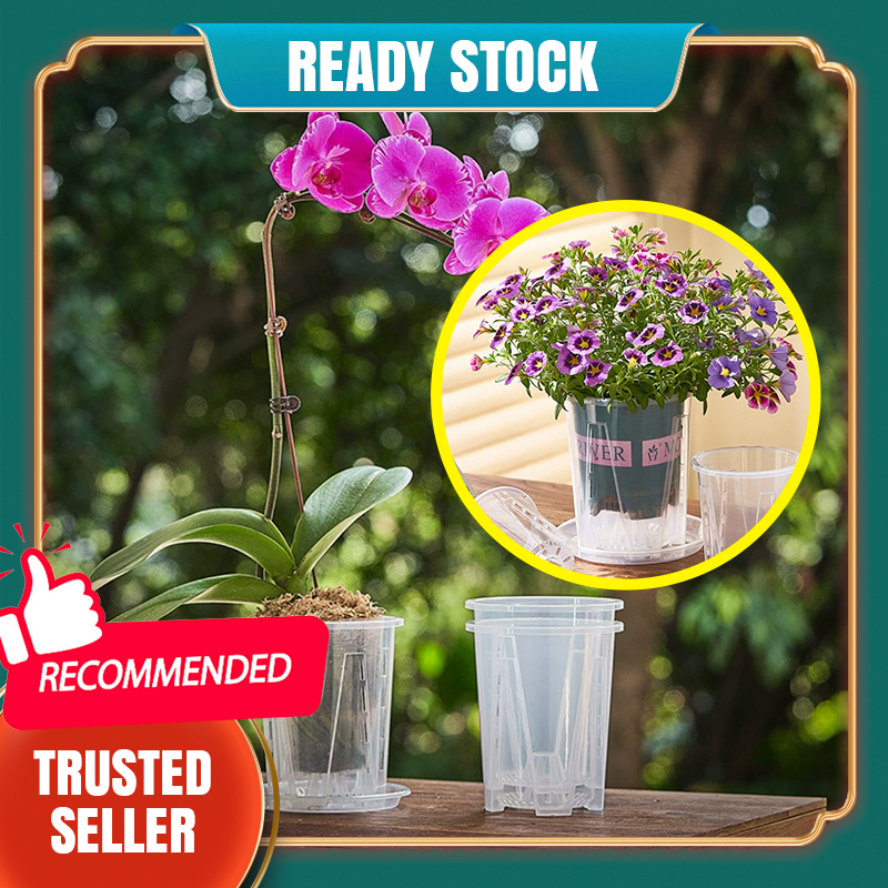 【24H SHIPPING】Transparent Orchid Pot – Clear Plastic Mesh Pot with ...