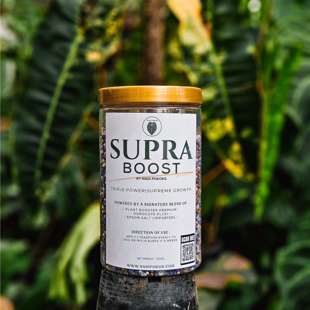 Supra Boost by Nadi Pokoks (The Best Mixture of Plant Booster Premium ...