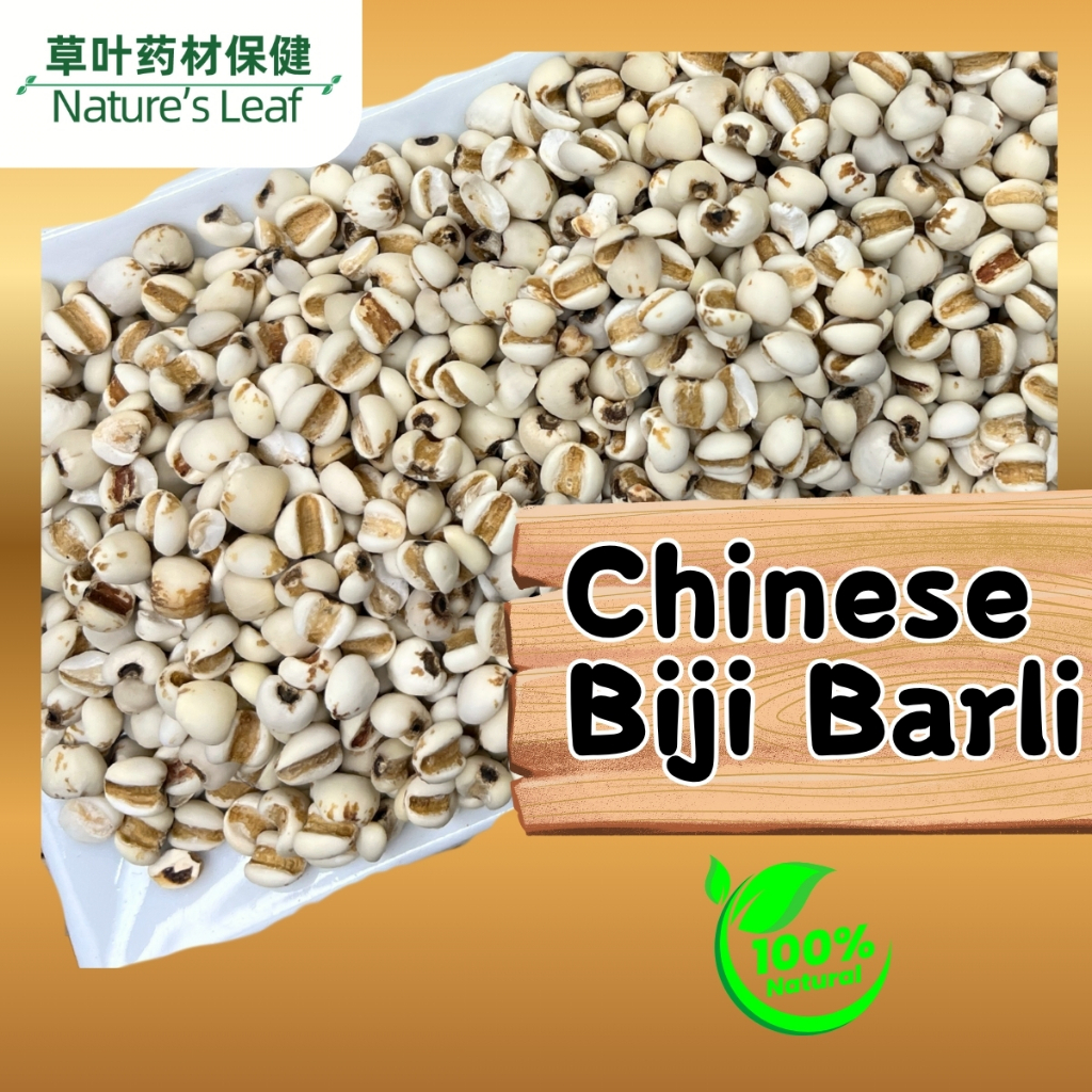 Barli Cina | Buang Air & Bengkak & Baik Untuk Penghadaman | Shopee Malaysia
